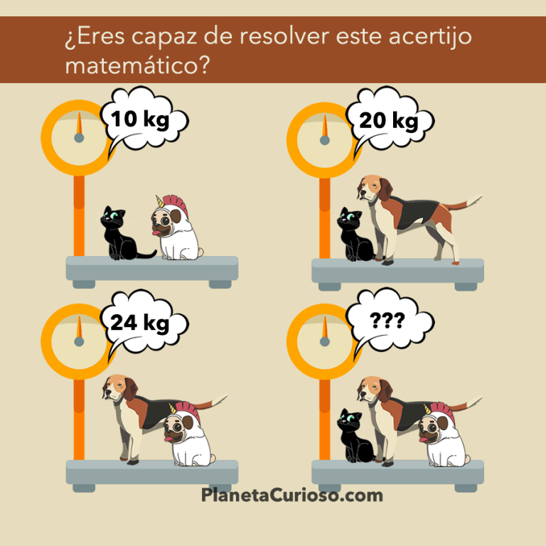 ¿eres Capaz De Resolver Este Sencillo Acertijo Matemático